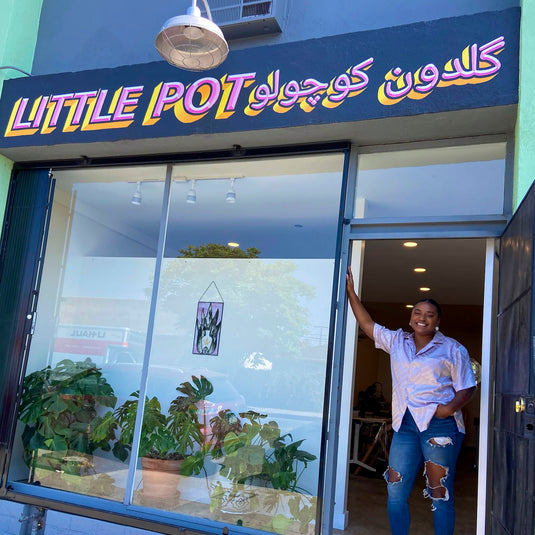Little Pot – POT